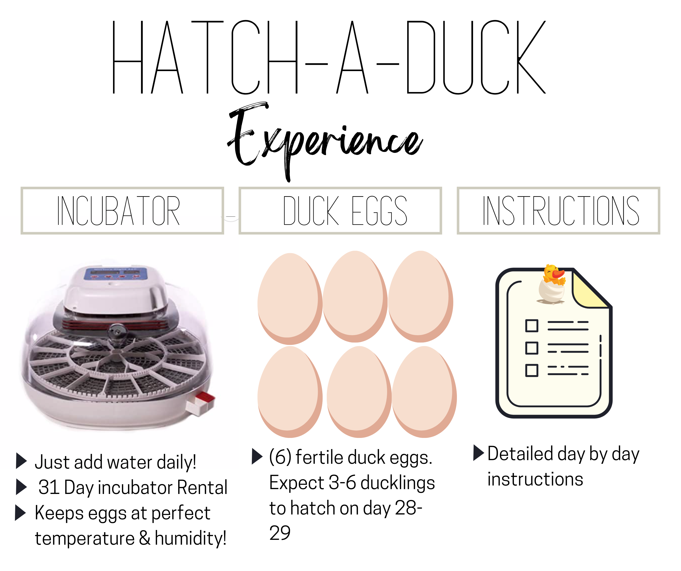 Learning Experiences - Two Little Acres