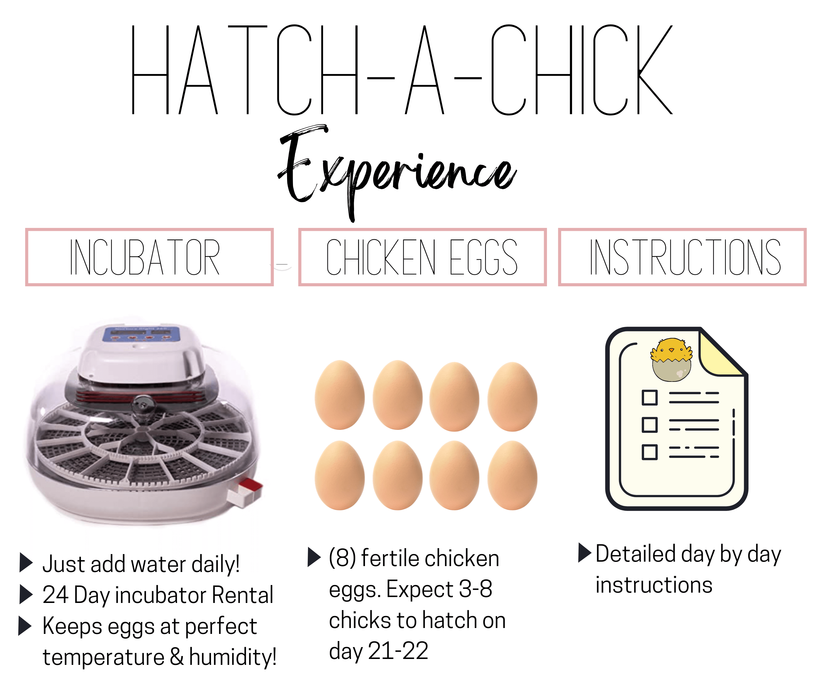 Learning Experiences - Two Little Acres